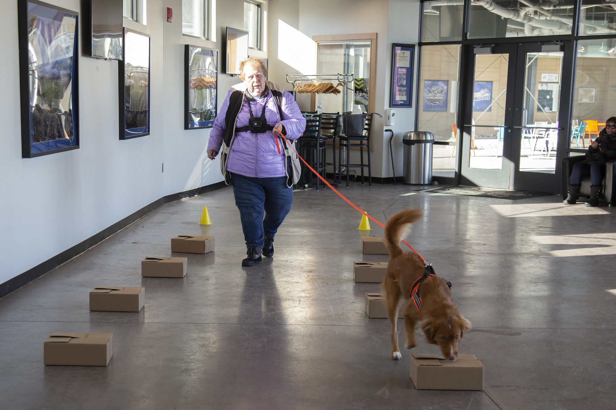 Scent Work Trials — December 6th & 7th – Two Locations – *Nebraska ...